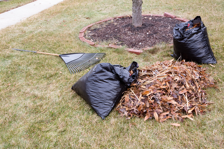 Leaf Removal By MRO Landscaping LLC leaf-removal-by-mro-landscaping-llc